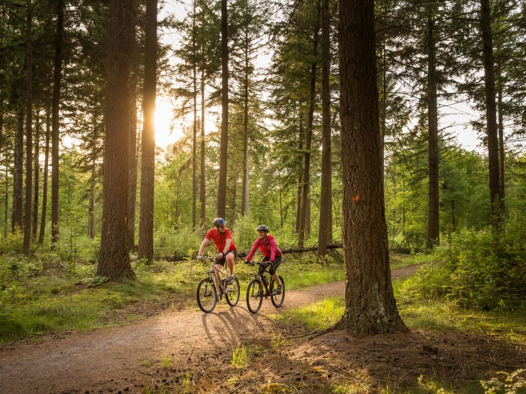 Explore the resort Landal Woodland Lakes