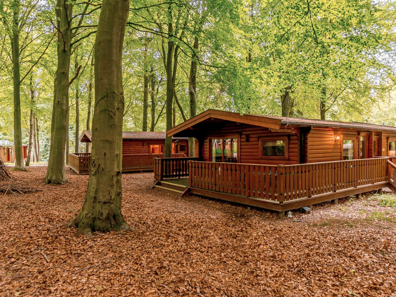 4-person lodge - Maple Lodge 4C on Kenwick Woods