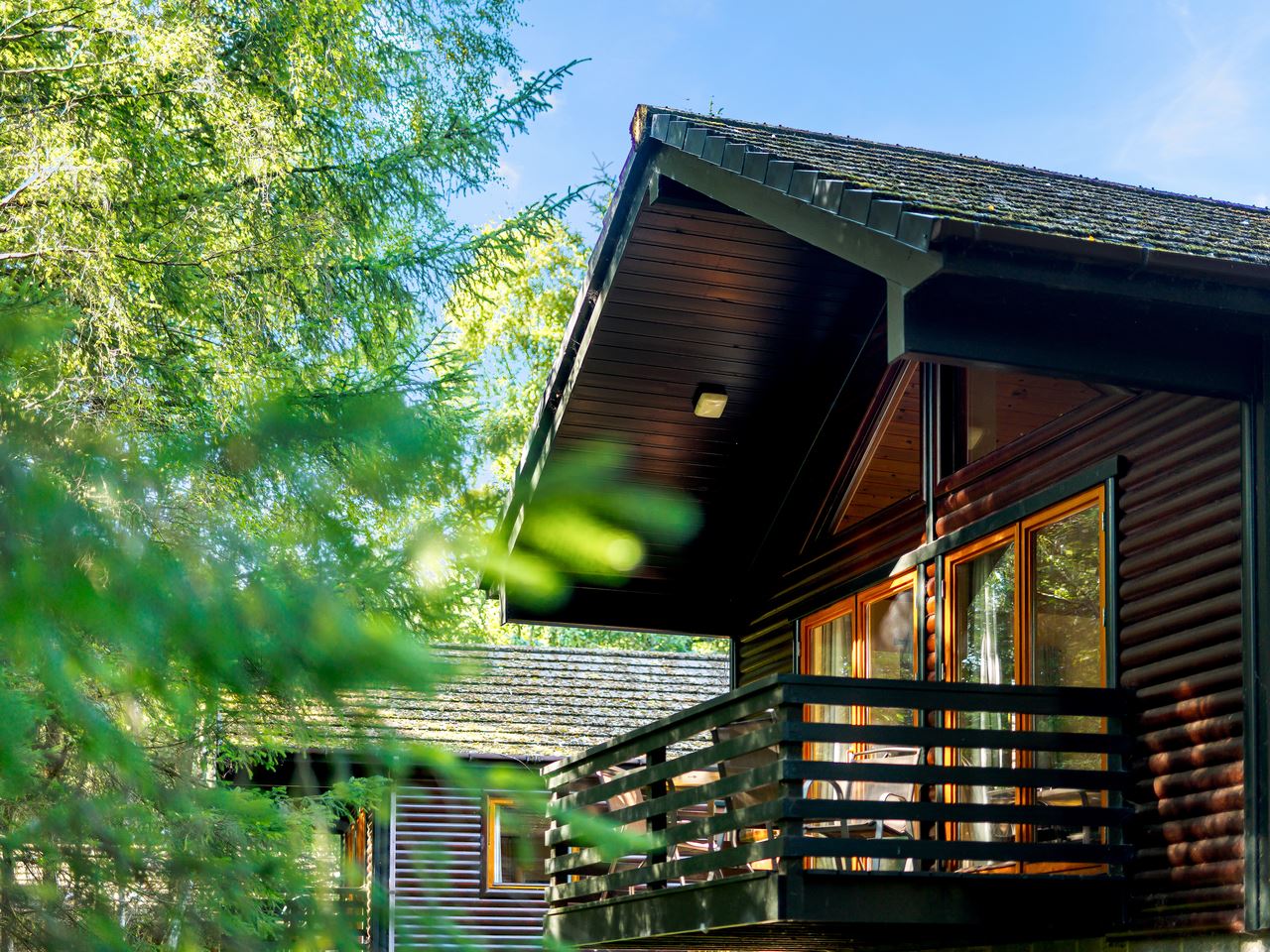 4-person lodge - Barnard Lodge (Pet) 4CP1 on Piperdam