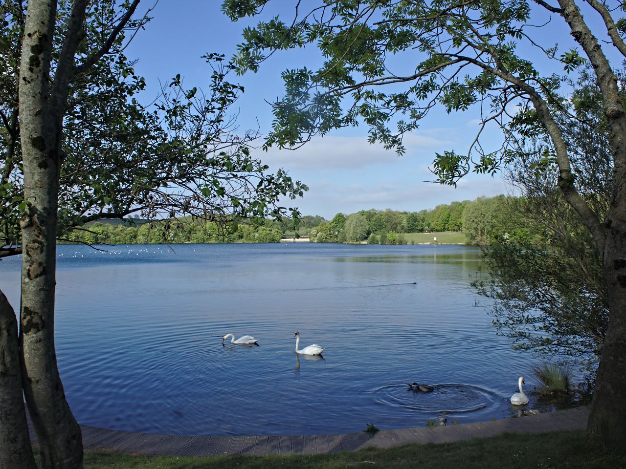 Surroundings of Landal Rockingham Forest