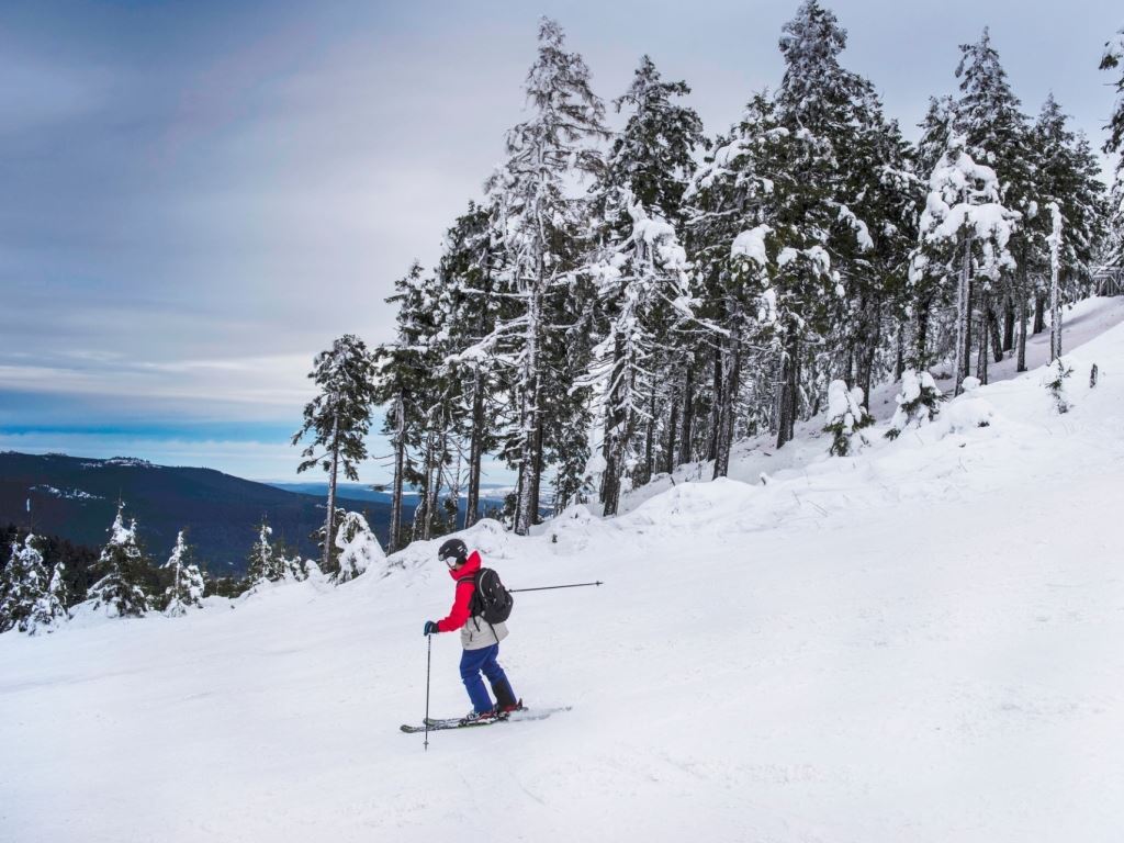 Winter sports holiday in Germany