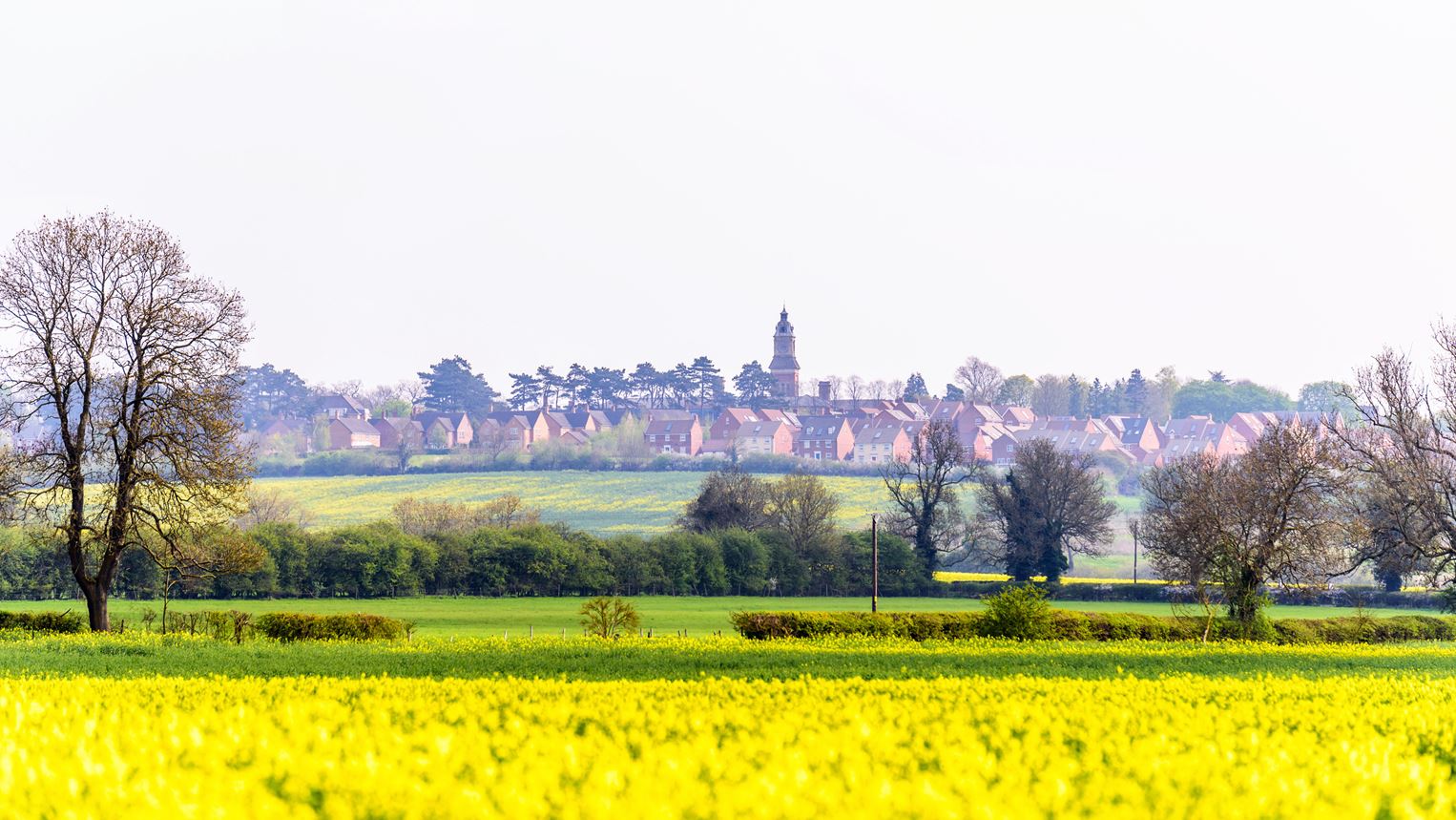 Surroundings of Landal Rockingham Forest